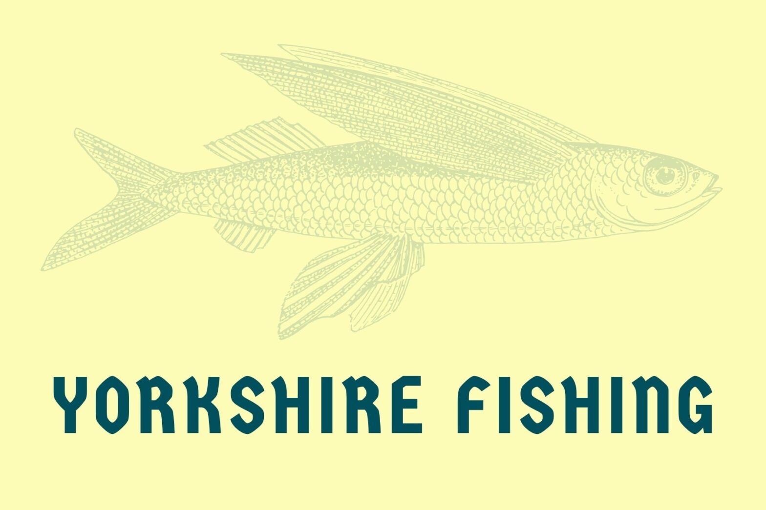 yorkshirefishing.net